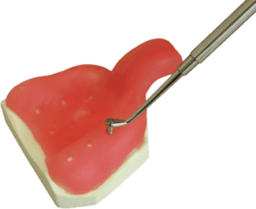 Megatray Perfmaster - sauredentaldiscounter.de